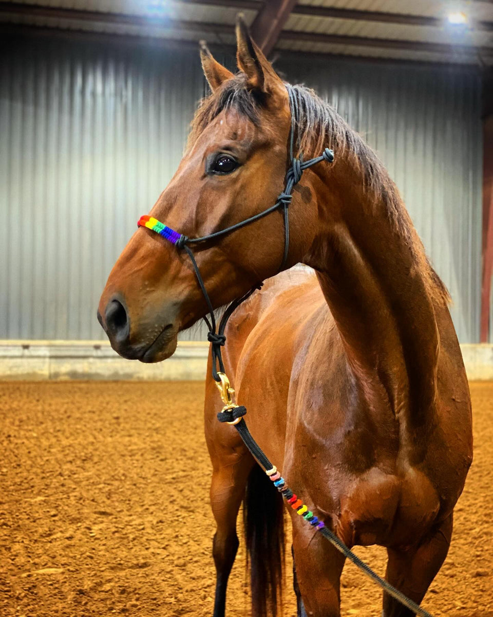 Pride Flag Lead Rope – Counter Canter Designs