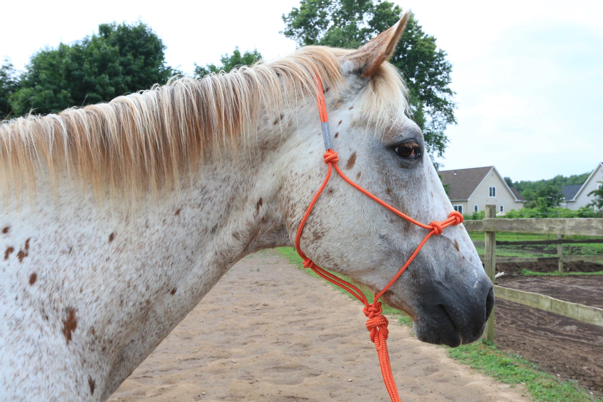 Counter Canter Designs - Clinician Quality Yacht Rope Tack