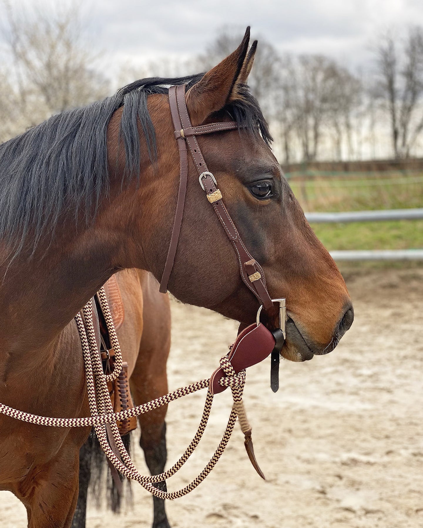 Counter Canter Designs - Clinician Quality Yacht Rope Tack