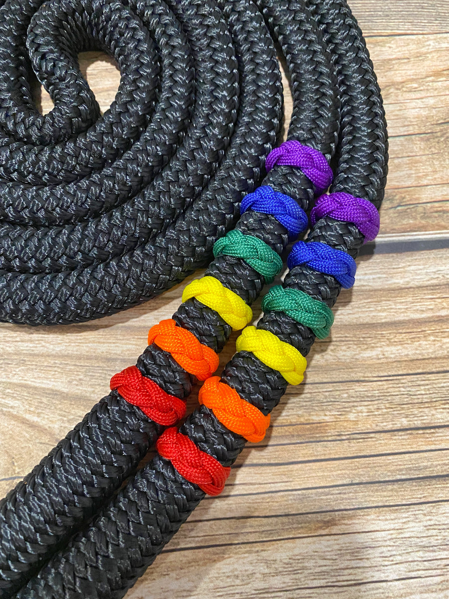 Pride Flag Reins – Counter Canter Designs