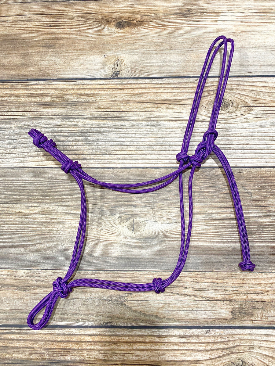 4 Knot Rope Halter – Counter Canter Designs