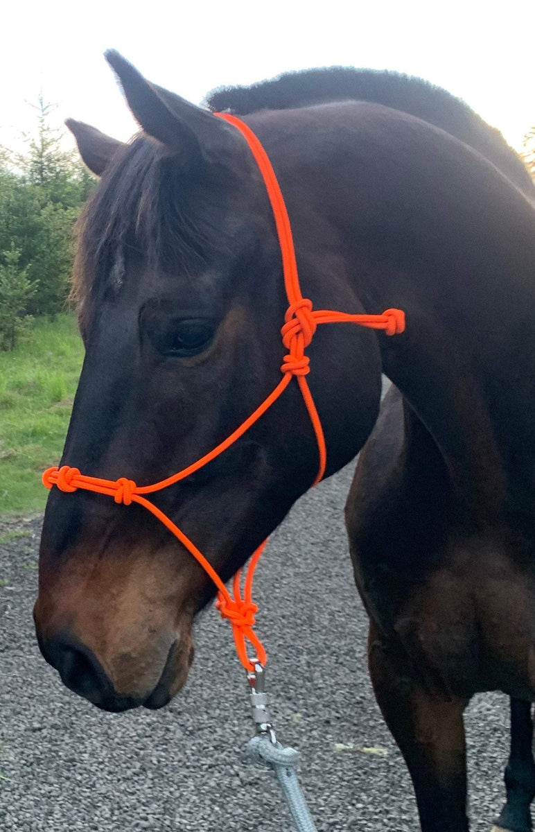 Safety Orange Rope Halter – Counter Canter Designs